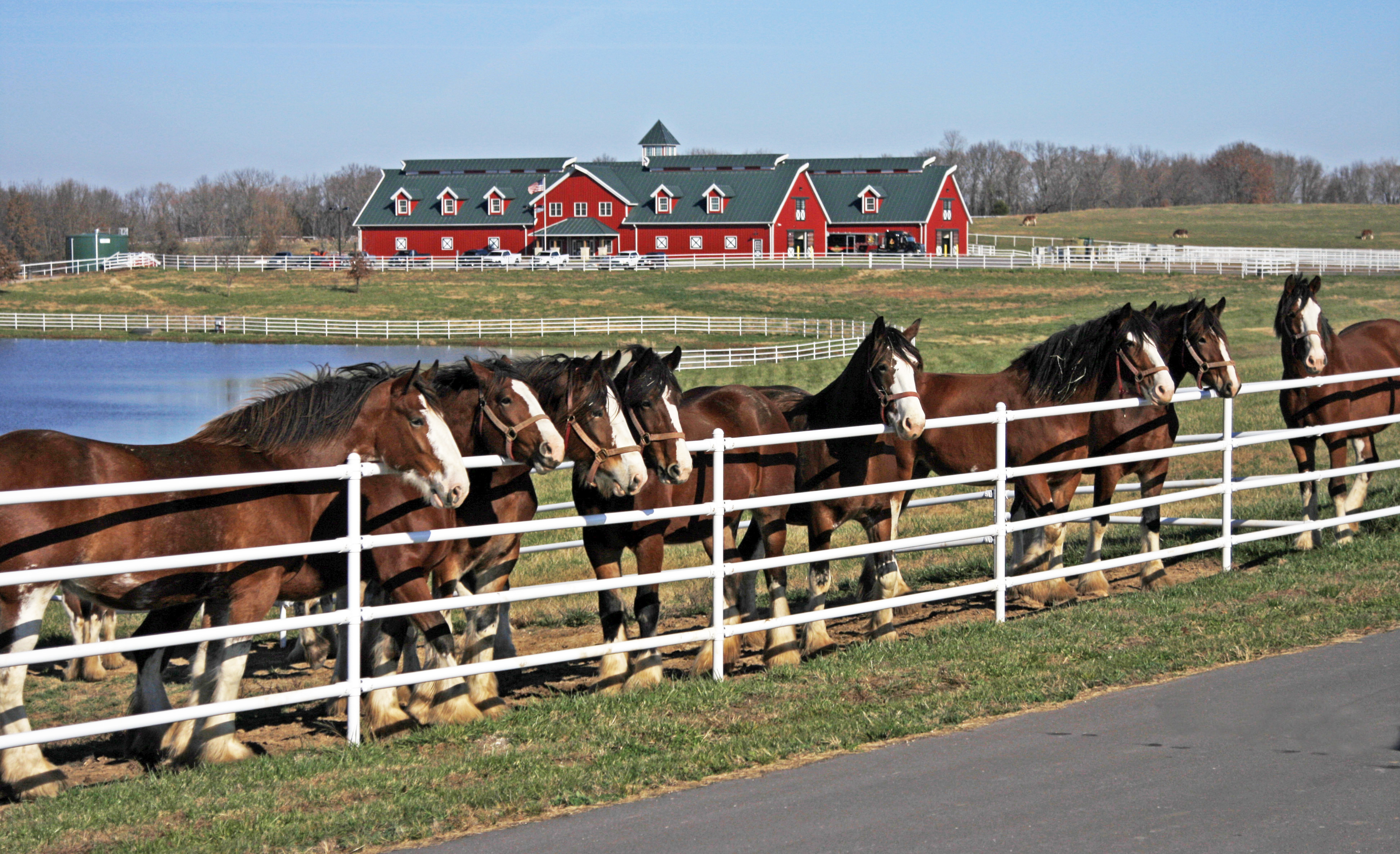 Anheuser-Busch's Warm Springs Ranch Opens for Season | Anheuser-Busch