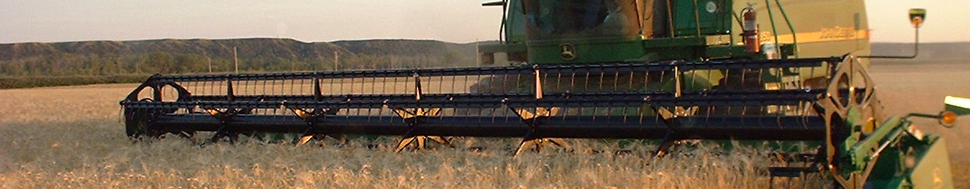 From Bushels to Beer: How Good Barley Breeds Good Beer and Global ...