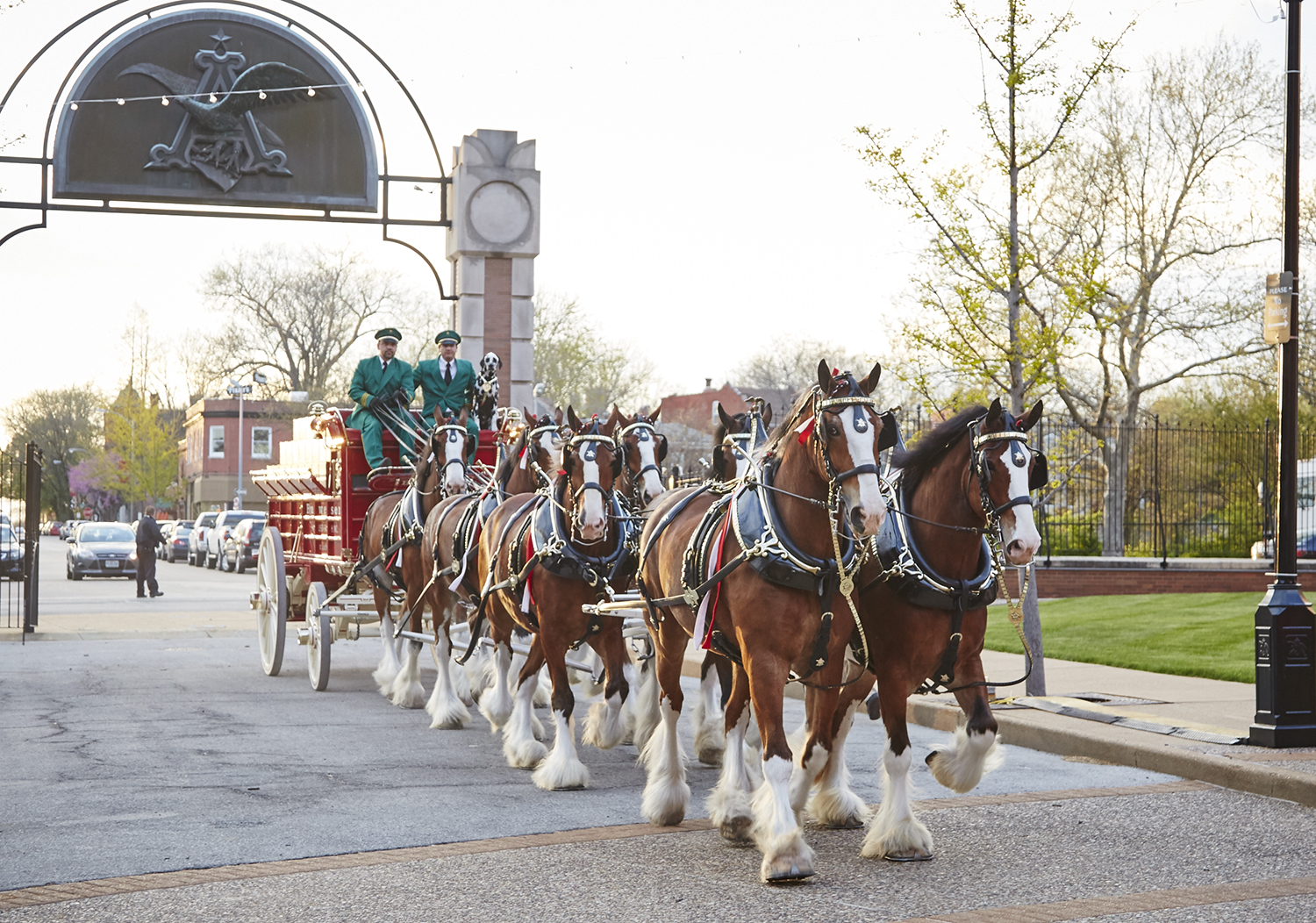 Budweiser Clydesdales Visit Kansas Capitol to Celebrate the ...
